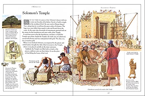 The Children's Illustrated Bible – FB Common Grounds